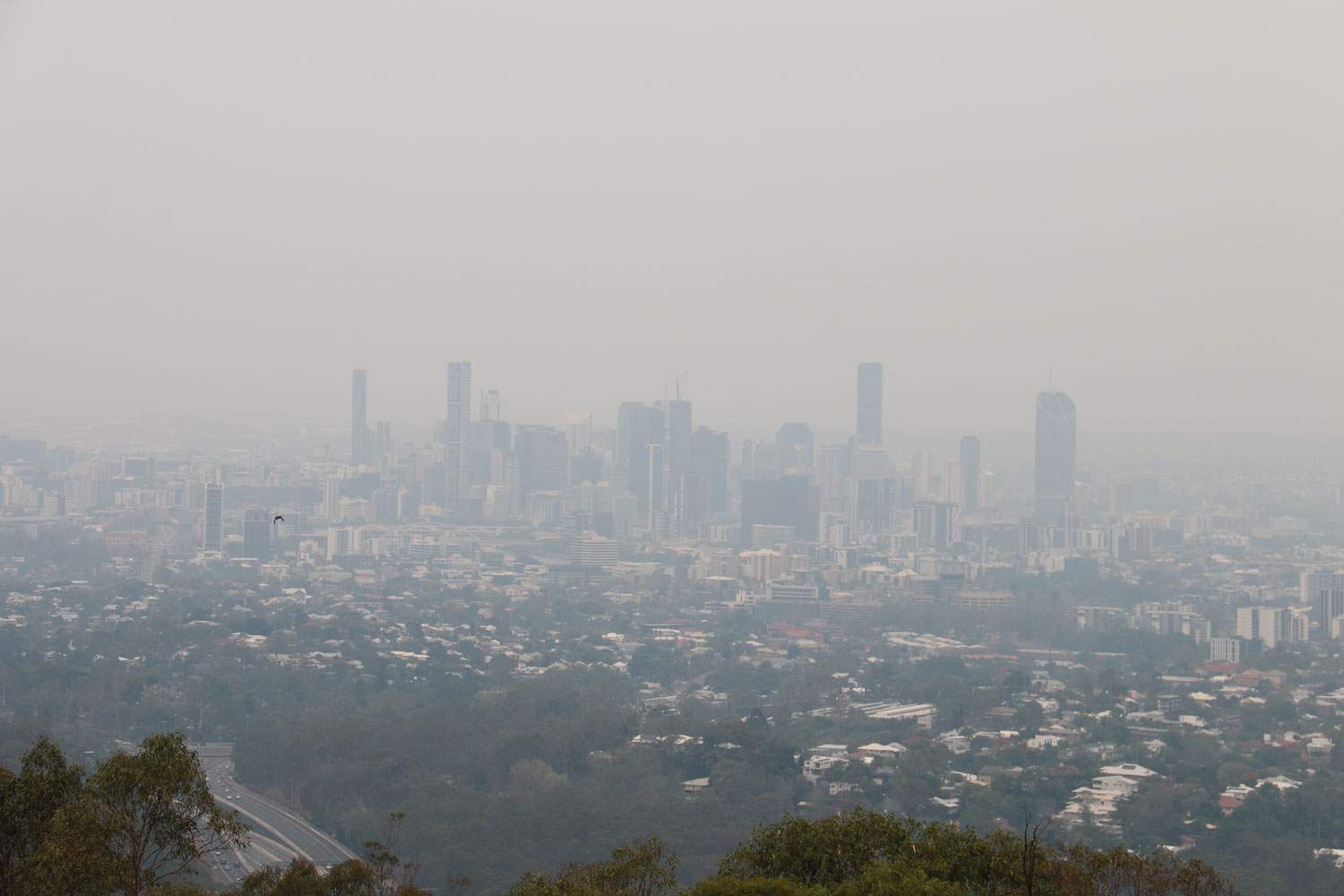 Smoke from NSW bushfires blankets south-east Queensland, with rainfall ...