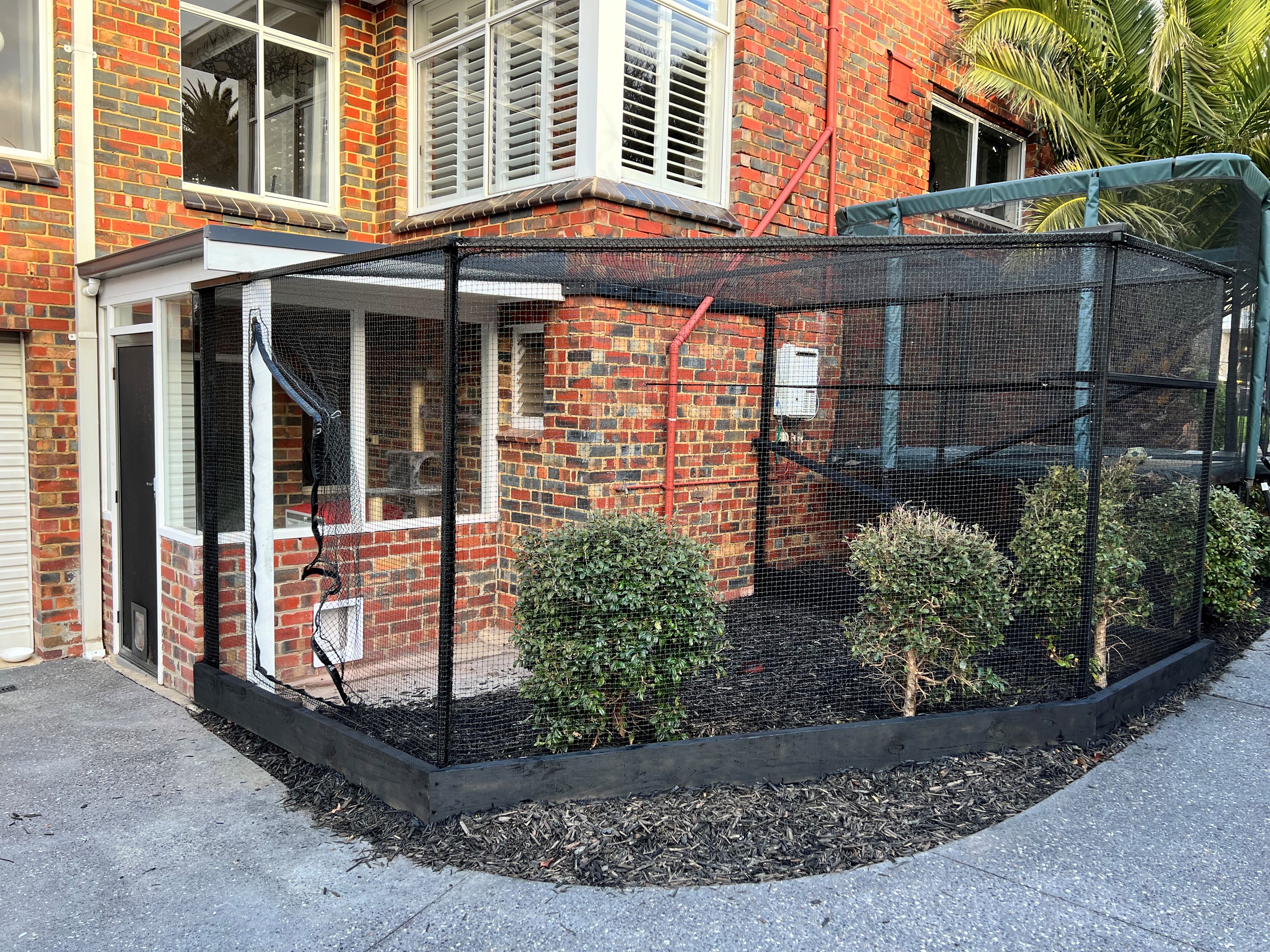 Cat containment rules lead to boom in demand for outdoor pet enclosures ...