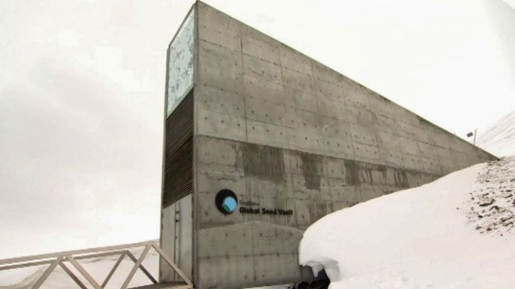 'Doomsday' global seed vault opens doors for rare look inside - ABC News