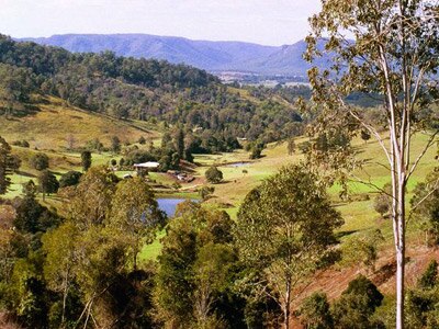 Julie Novak - ABC News