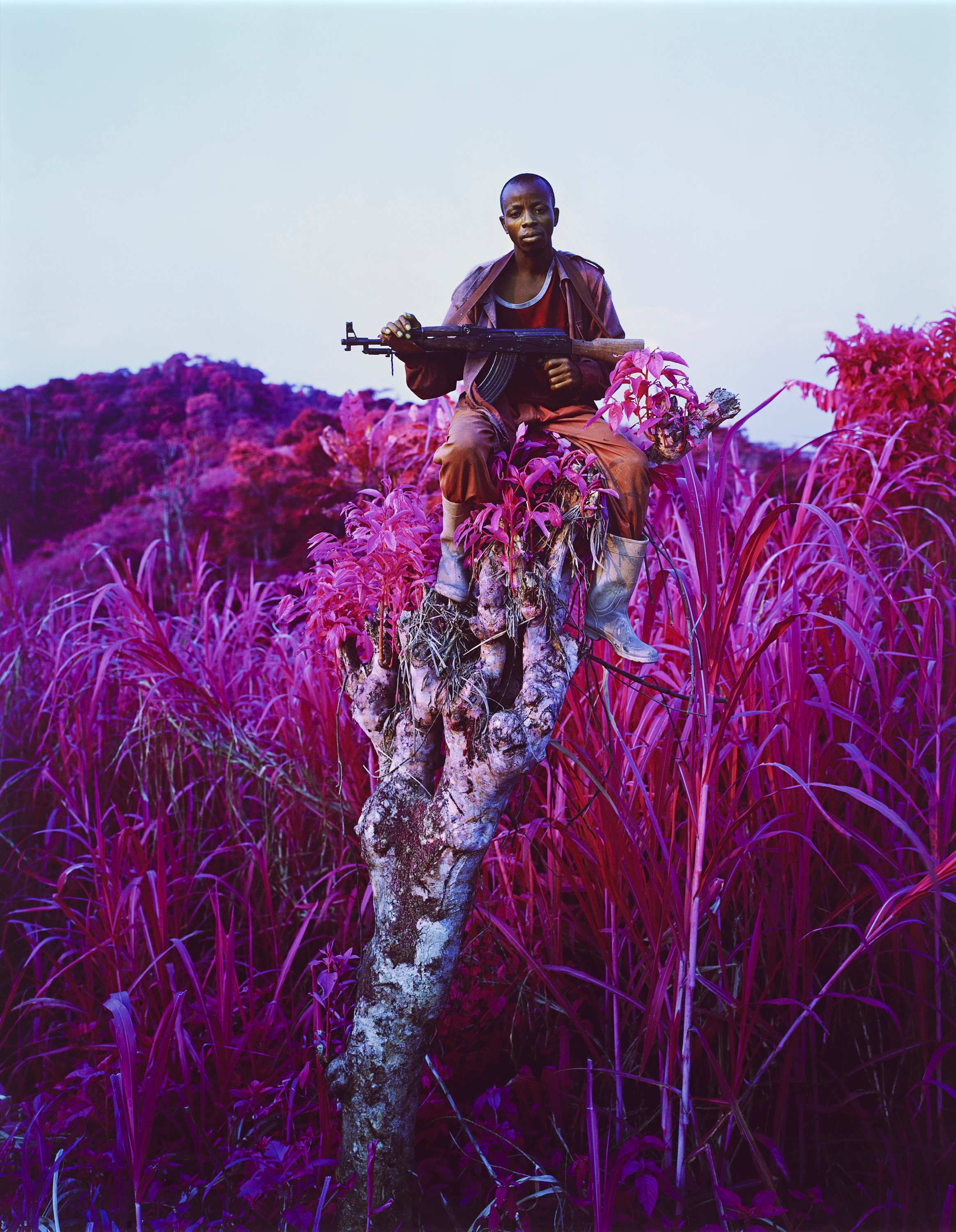 Richard Mosse returns to National Gallery of Victoria with Broken ...
