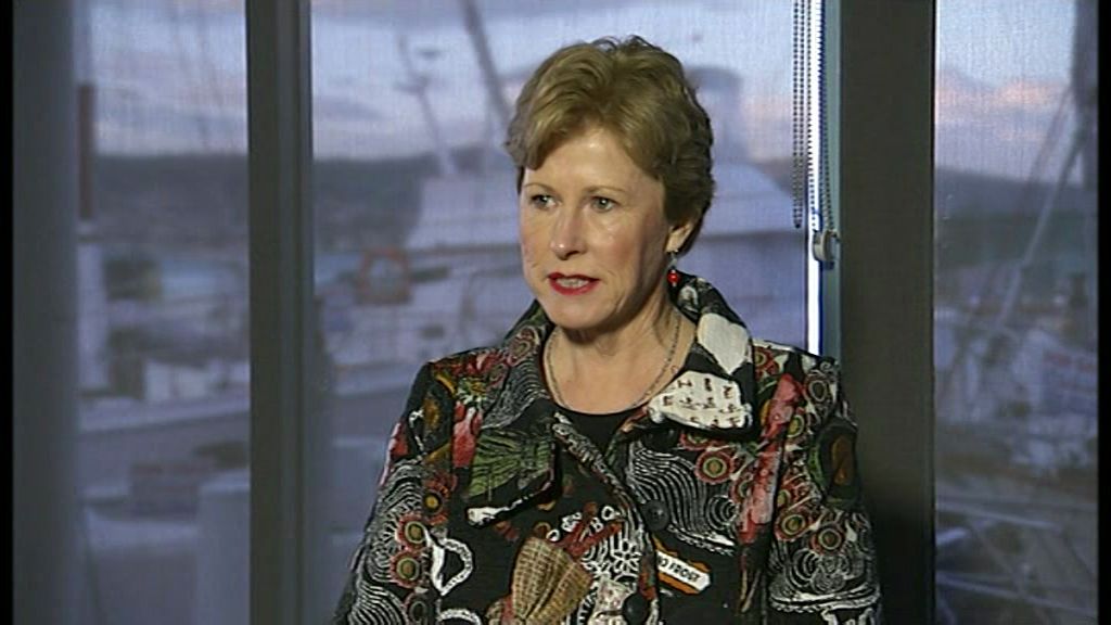 Christine Milne welcomes announcement of election date - ABC News