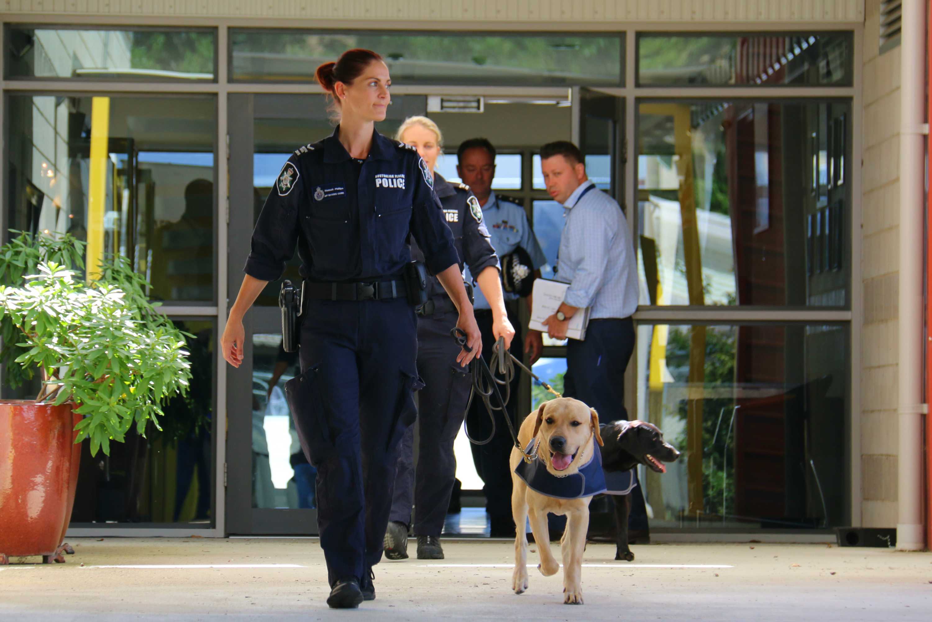 New canine AFP graduates destined for halls of Parliament House ...