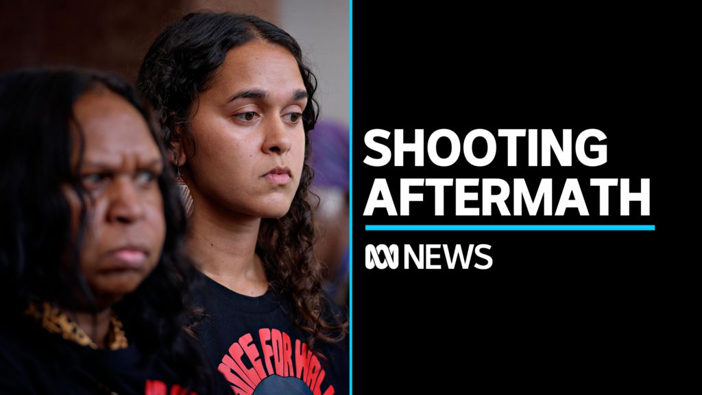 Kumanjayi Walker's cousin gives evidence at inquest - ABC News