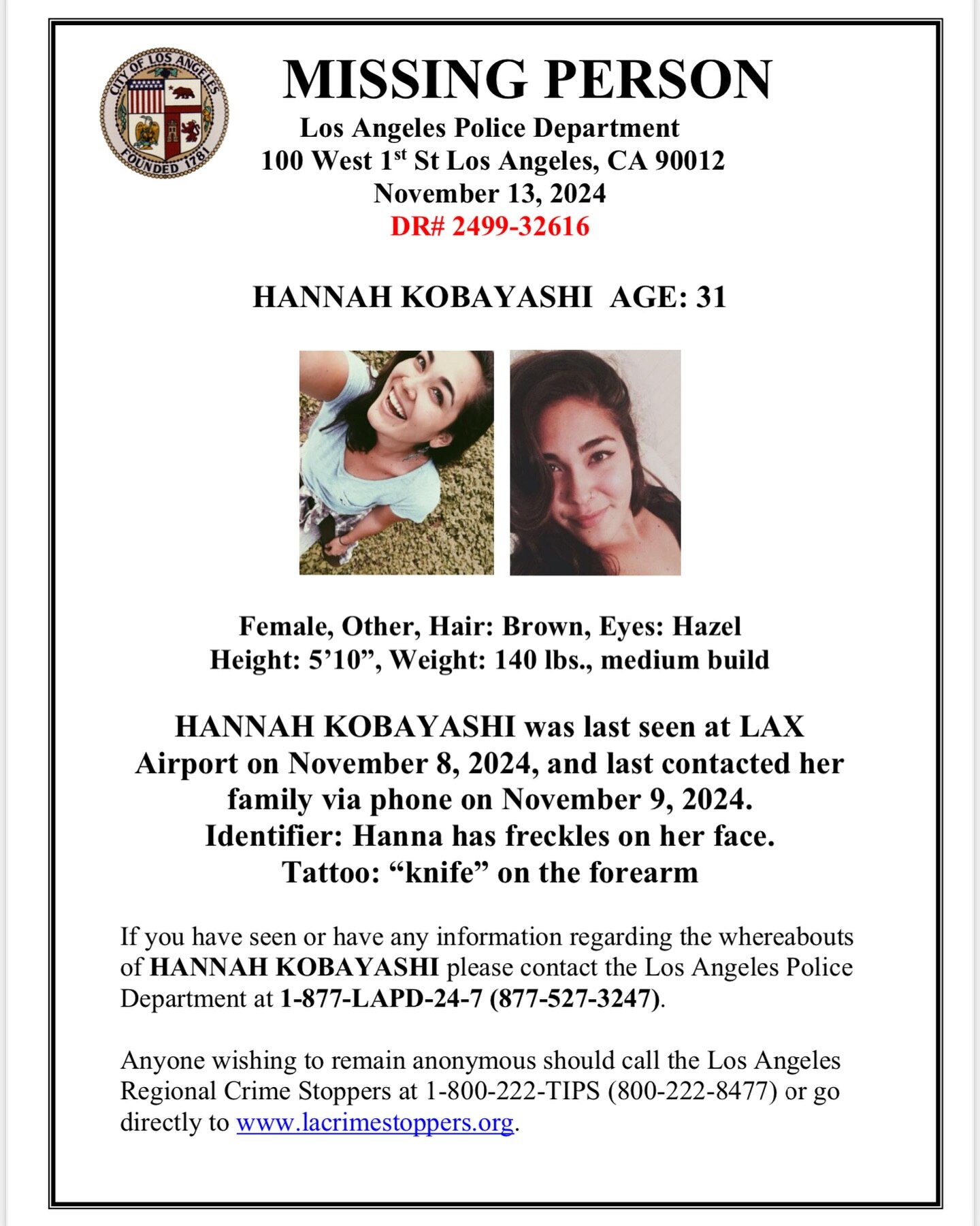 Hannah Kobayashi disappeared from LAX after missing her flight. Then ...