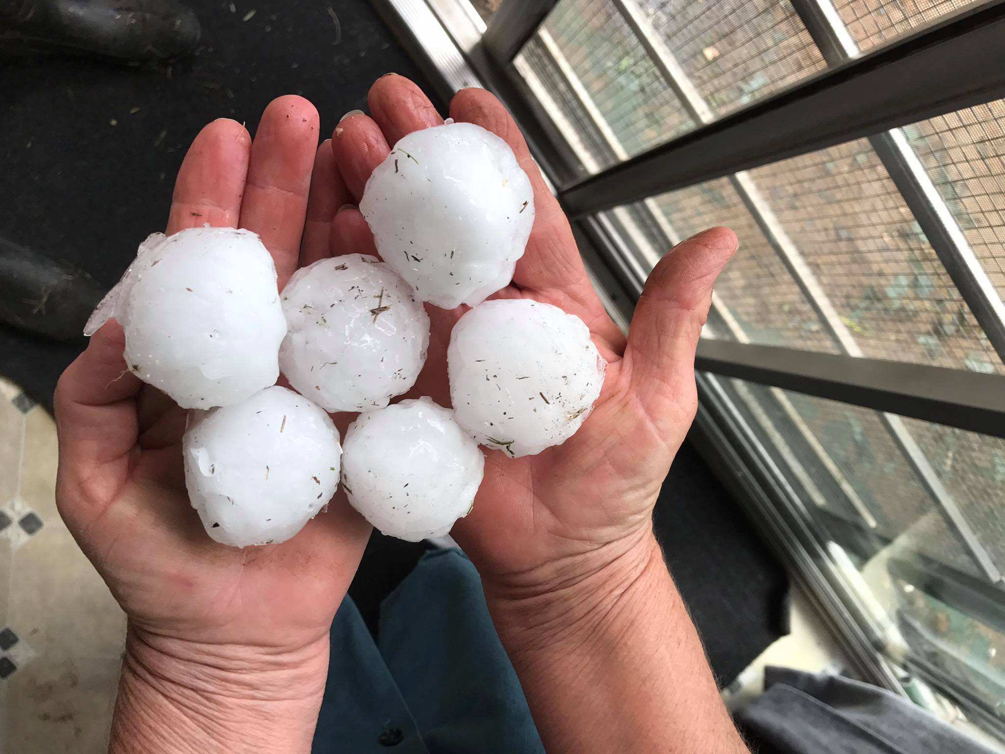 Bushfire smoke can get into hail and even go from vine to wine - ABC News