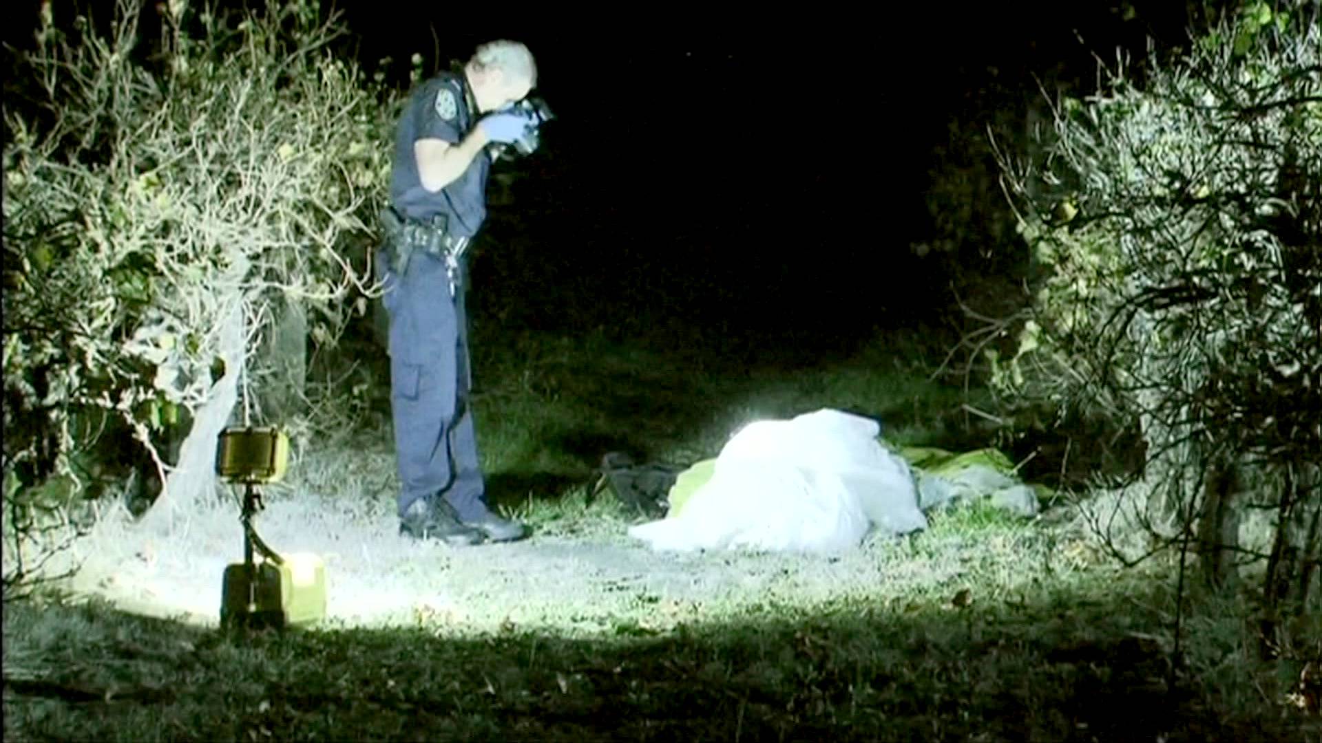 Skydivers hospitalised after parachute malfunctions during jump over ...