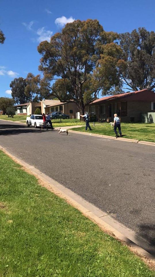 Residents worried Cowra police shooting could spark racial tensions ...