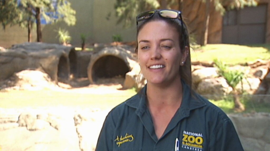 National Zoo and Aquarium 'determined to restore besmirched reputation ...