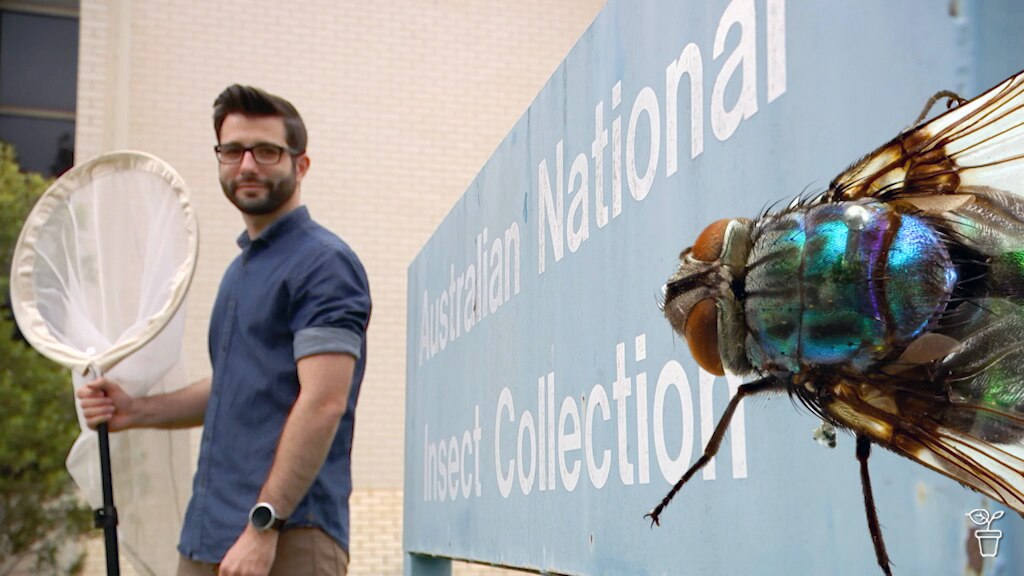 Episodes - Gardening Australia