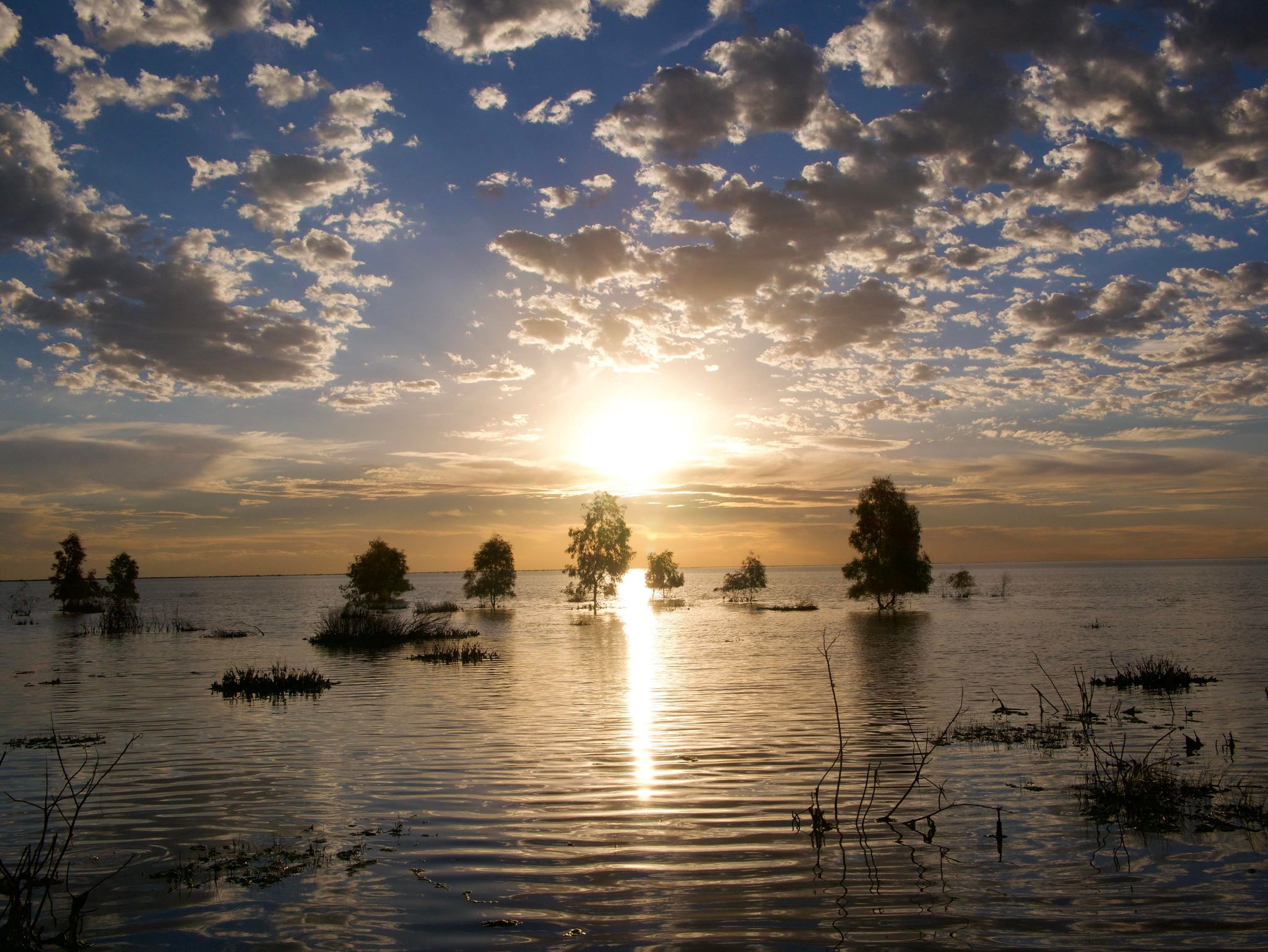 Callum Marshall - ABC News