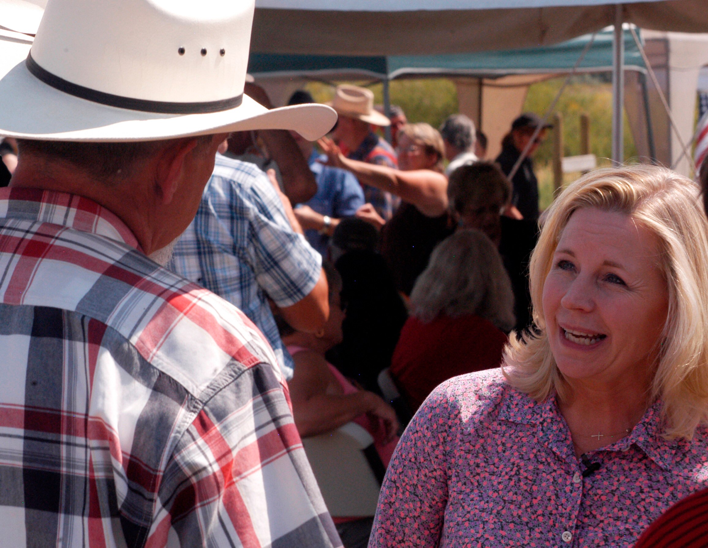 Liz Cheney rose through the ranks to become the third-highest-ranking ...