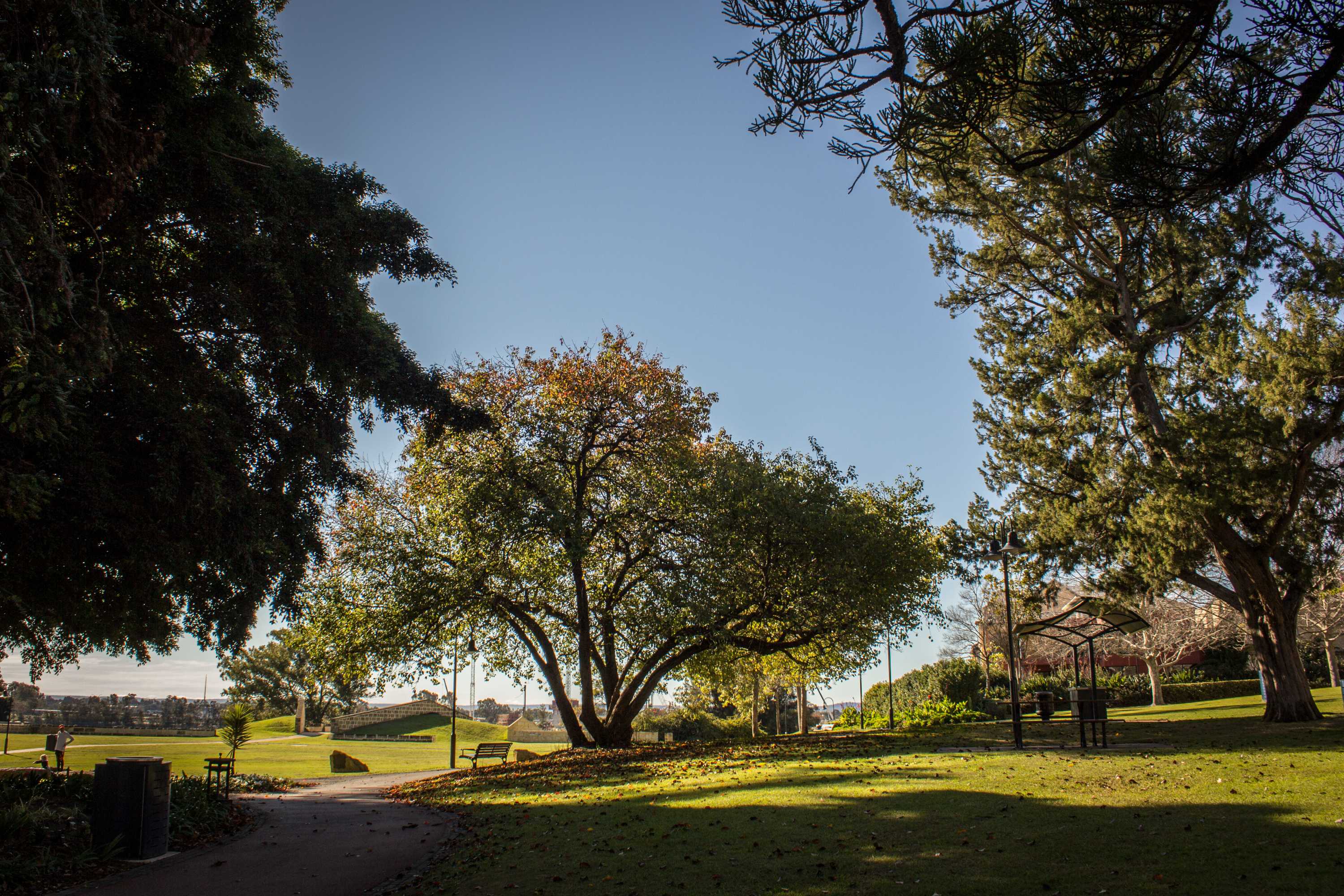 The secrets of Perth's city gardens unlocked by veteran gardener - ABC News