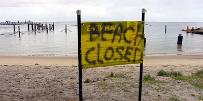 Fatal shark attack under investigation - ABC News