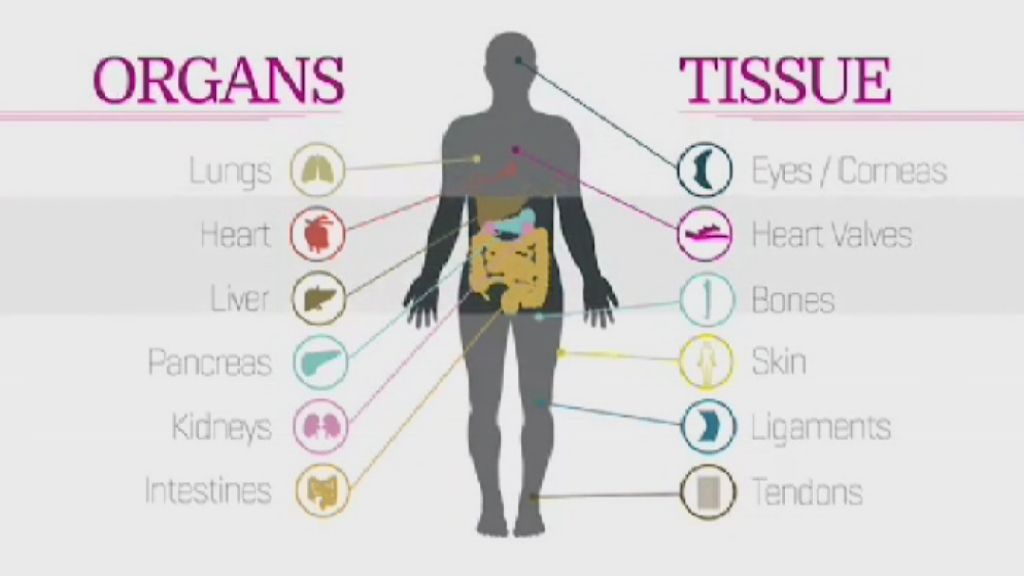 Why are Australia's organ donation rates so low? - ABC News