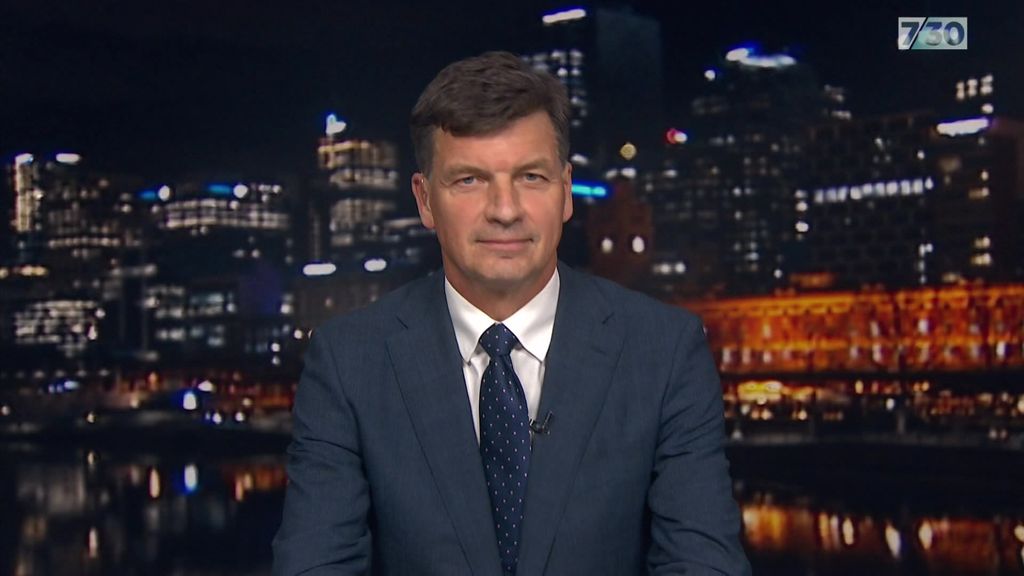 Shadow Treasurer Angus Taylor responds to the intergenerational report ...