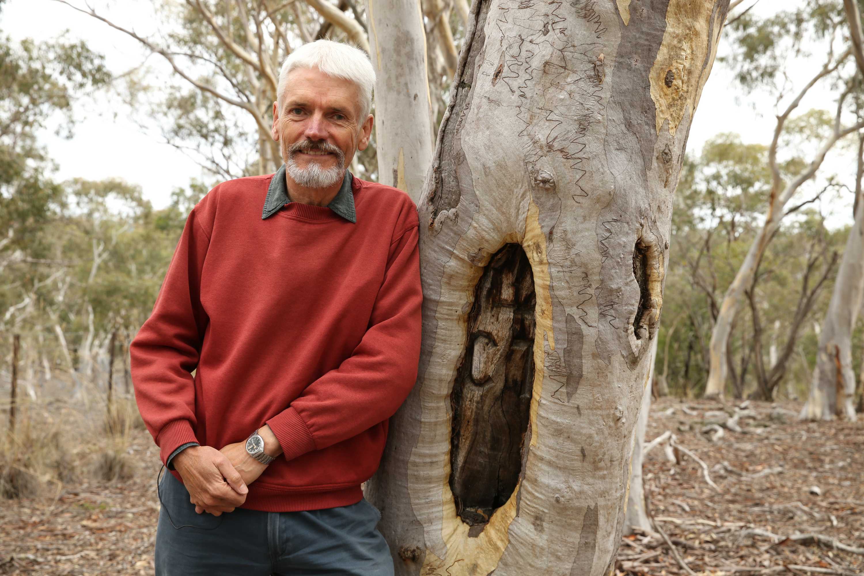 How were the ACT's boundaries determined? - ABC News