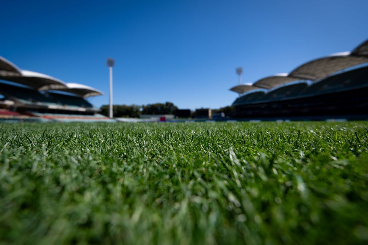 Adelaide Oval turf curator on the 'passionate' pursuit to craft the ...
