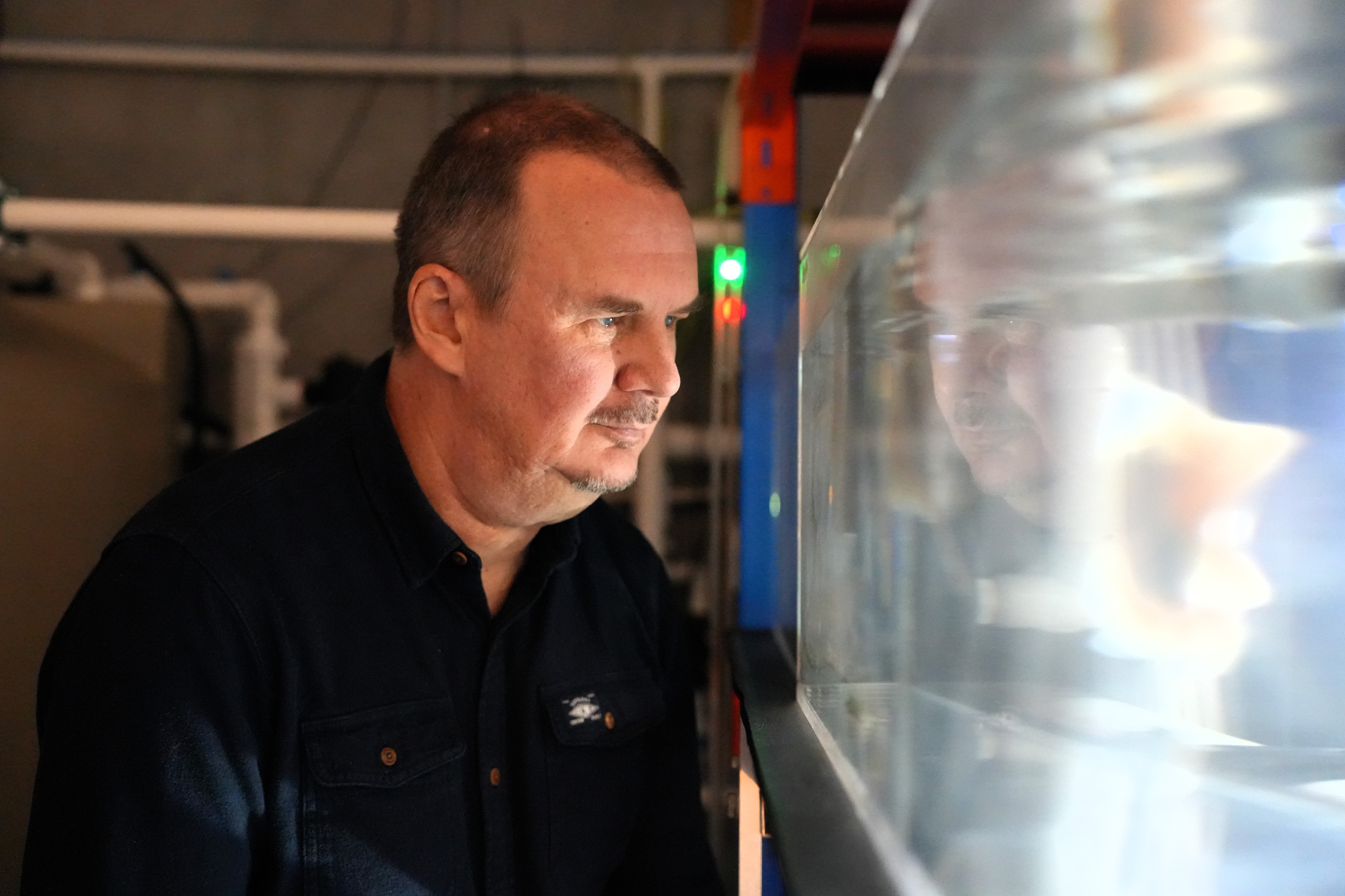 Scientists celebrate first Maugean skate hatchling born from a captive ...