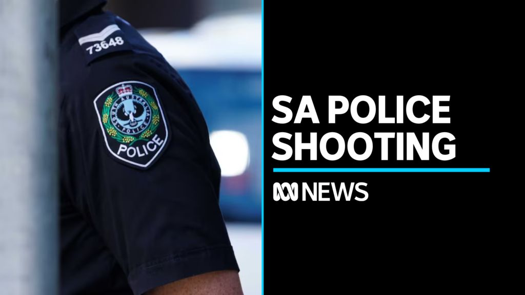 World's oldest heart found in fossilised fish - ABC News