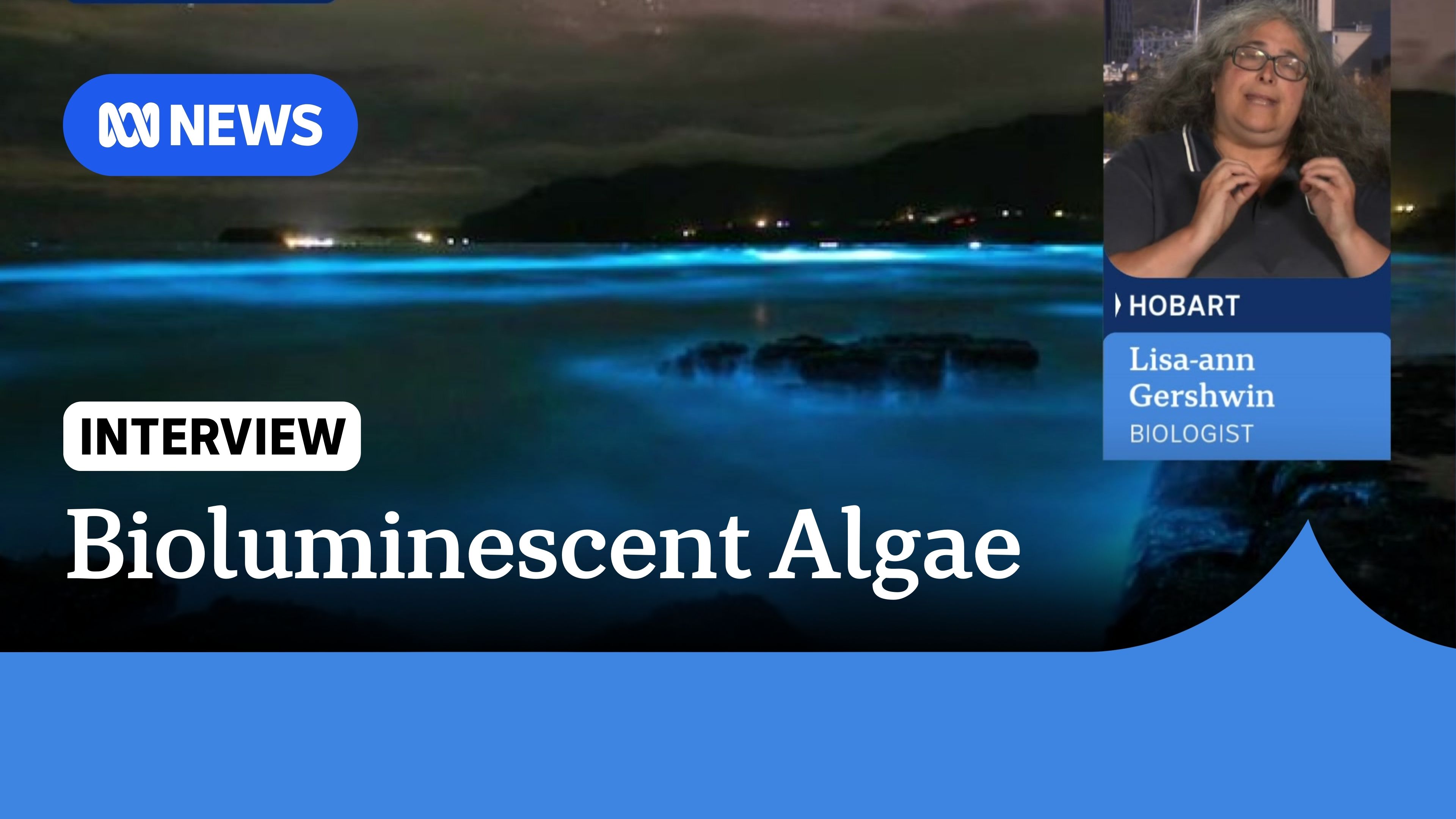 Tasmania's south-east coast 'glows' with bioluminescent algae - ABC News