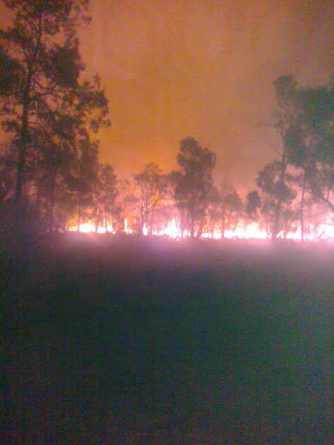 Crews continue to battle bushfires across Qld - ABC News