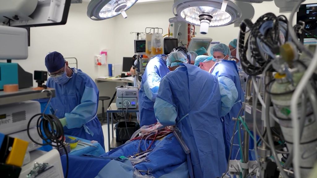 Surgeons implant artificial heart at St Vincent's Hospital - ABC News