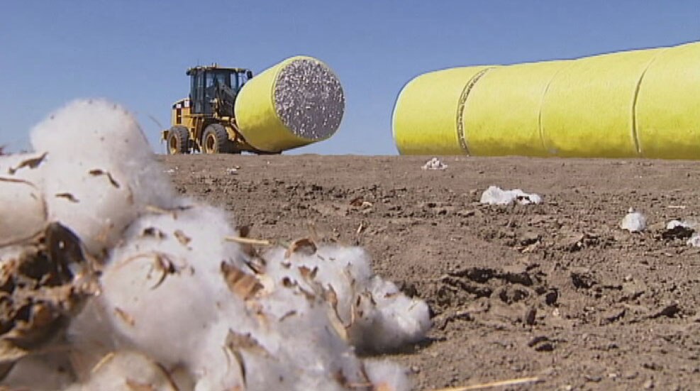 Deal finalised for sale of Cubbie Station - ABC News