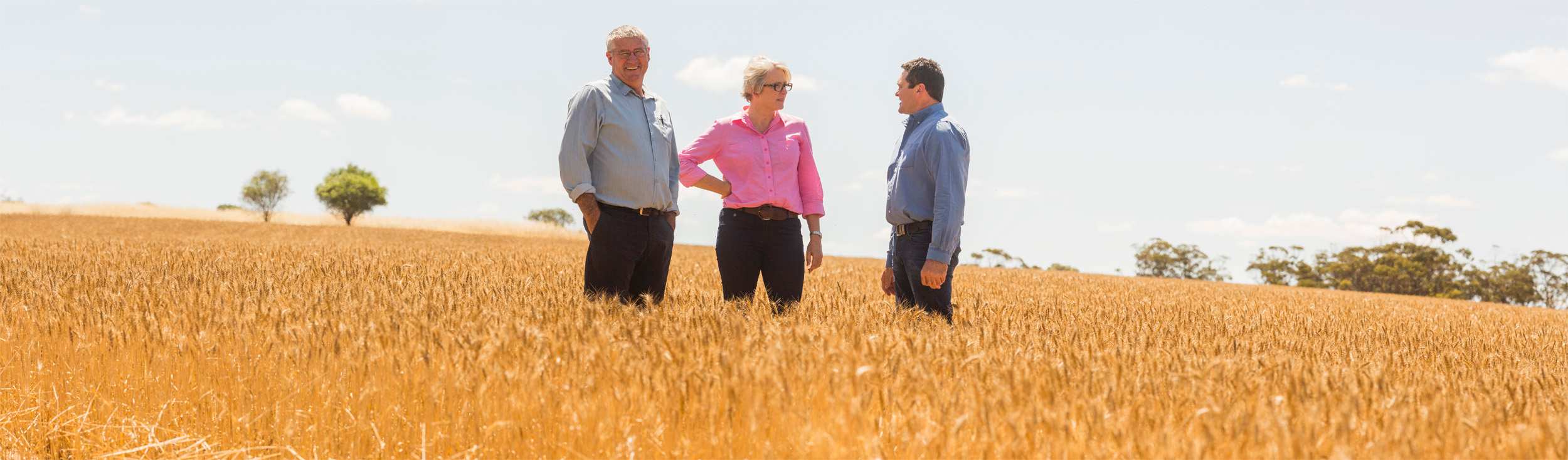 CBH will struggle under a co-operative model in open, competitive ...