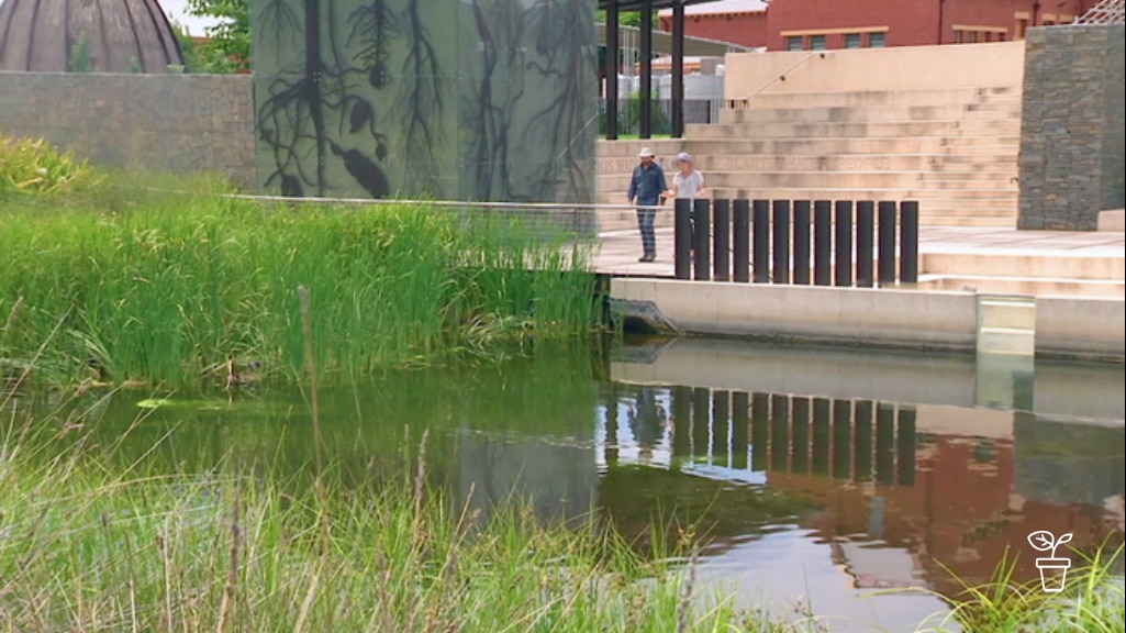 What is the Water Table? - Gardening Australia