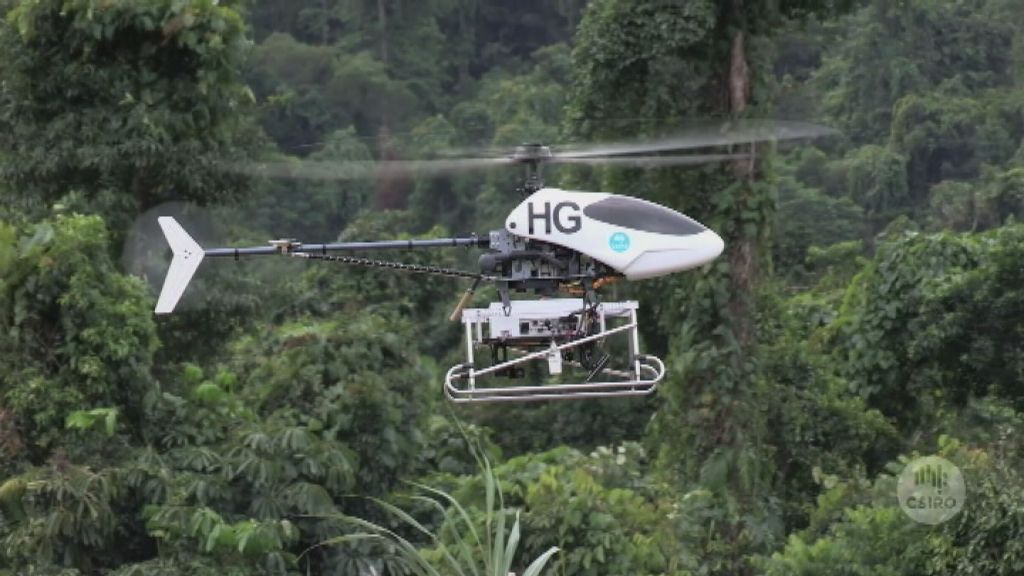 CSIRO uses drones in war on weeds - ABC News