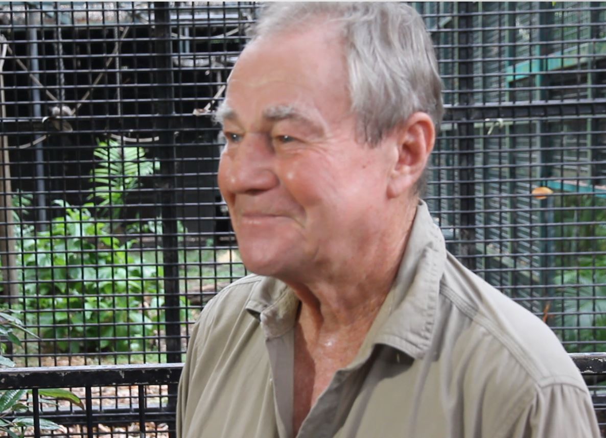 Baby chimp born at Rockhampton Zoo offers hope to breeding program ...