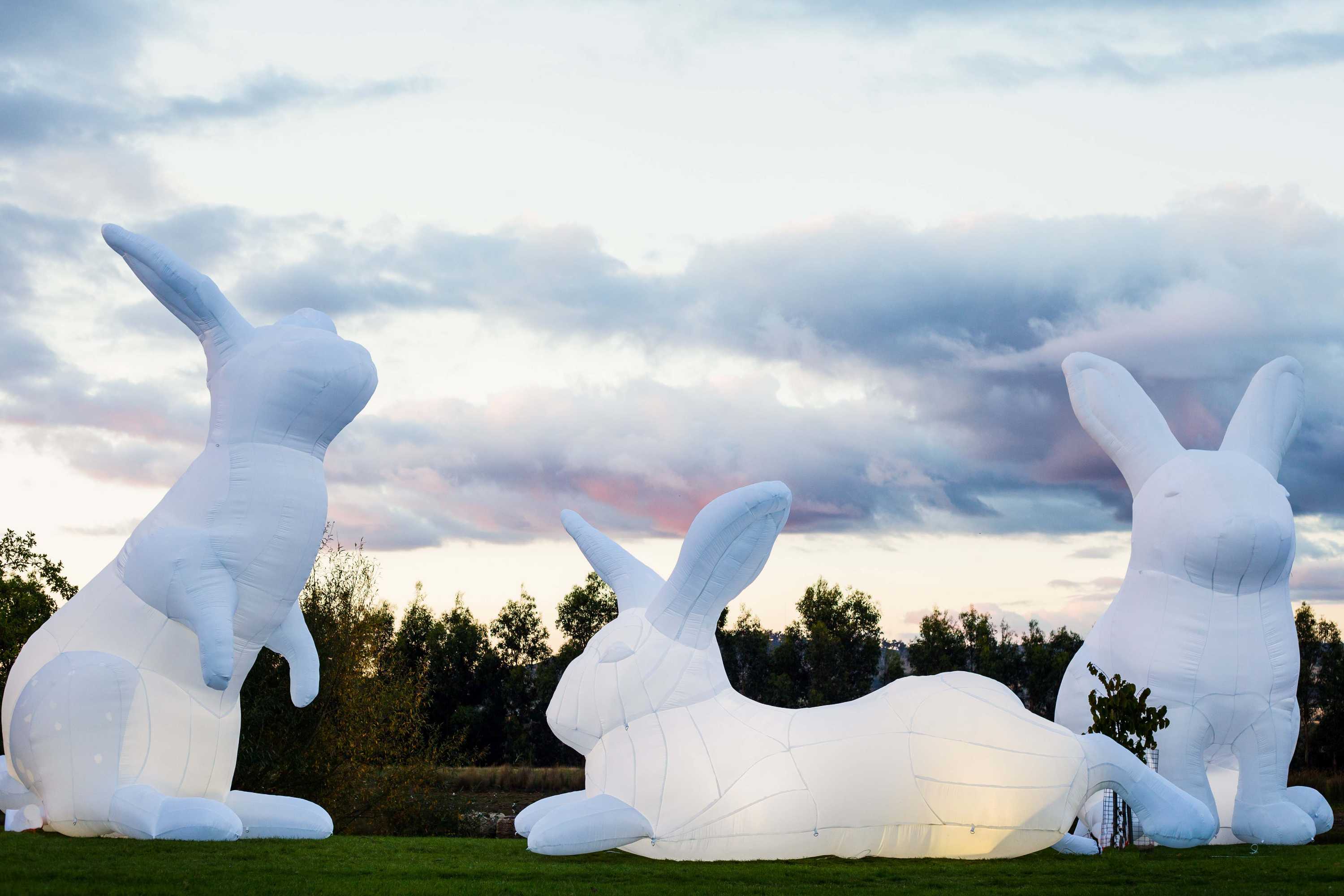 Enlighten: Giant inflatable rabbits invade Canberra's Parliamentary ...