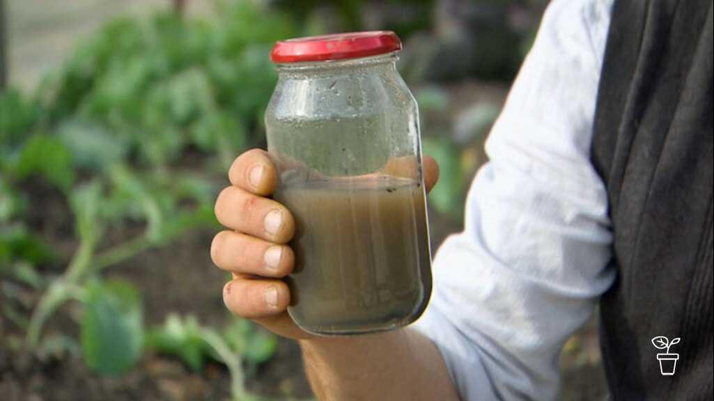 Top Tip: Clay Tester - Gardening Australia