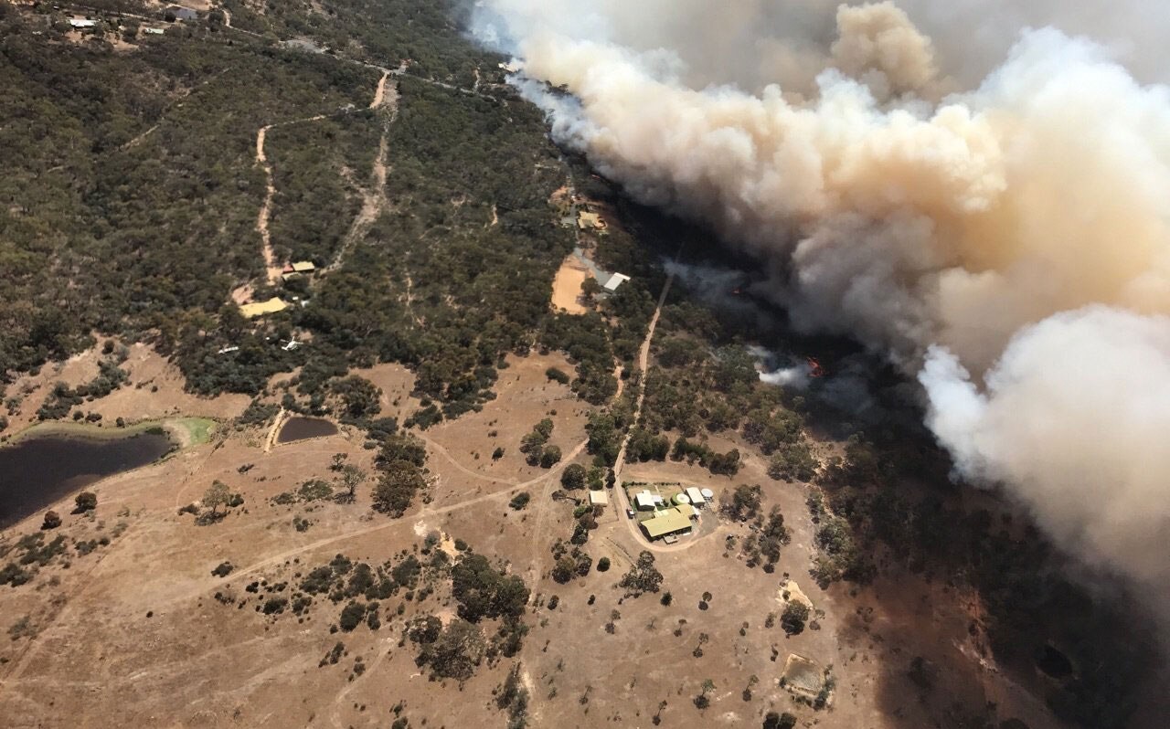 Carwoola fire: Homes lost, firefighters injured in fast-moving blaze ...