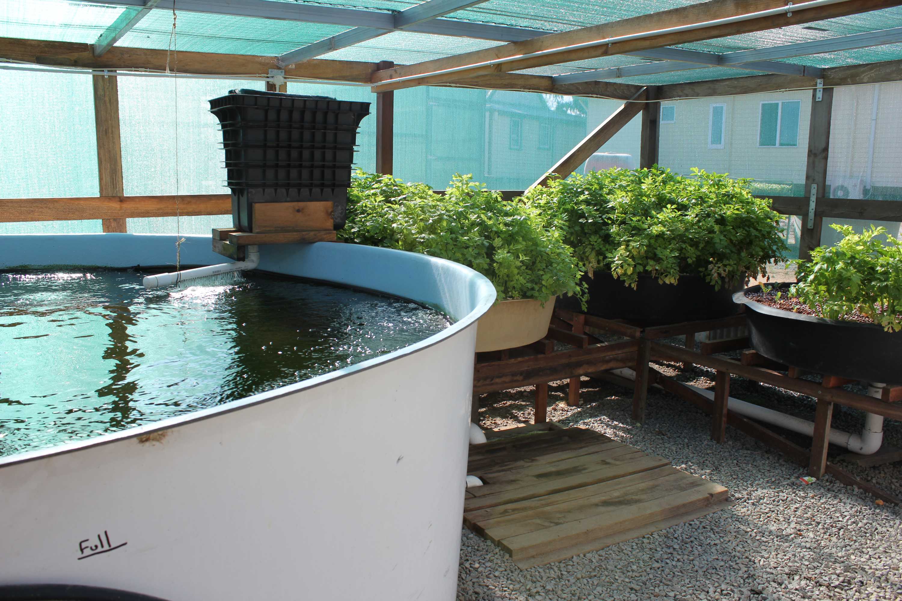Aquaponics at WA prison gives inmates a 'reason to get out of bed every ...