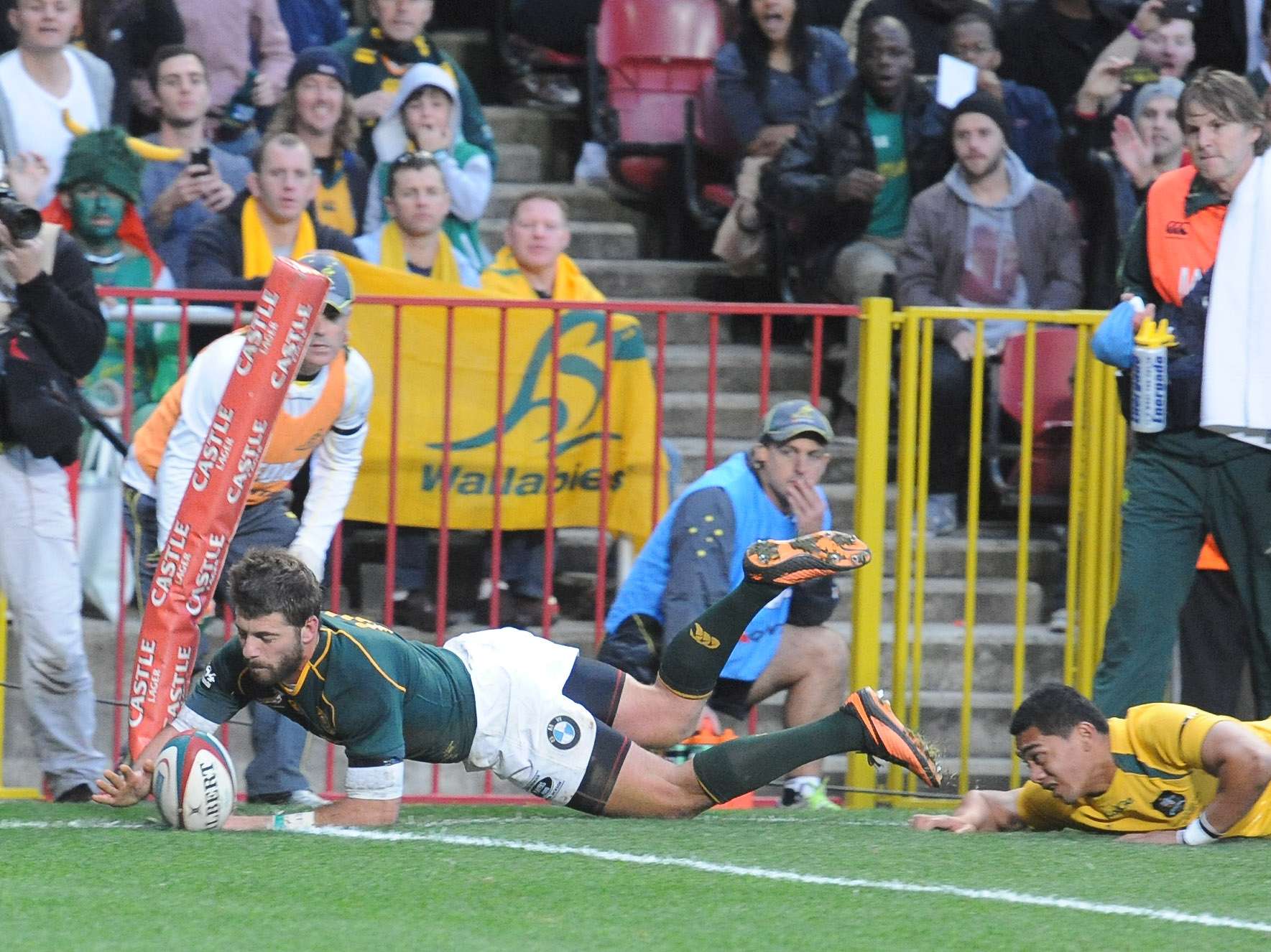 Wallabies v Springboks: Rugby Championship live streaming and score ...