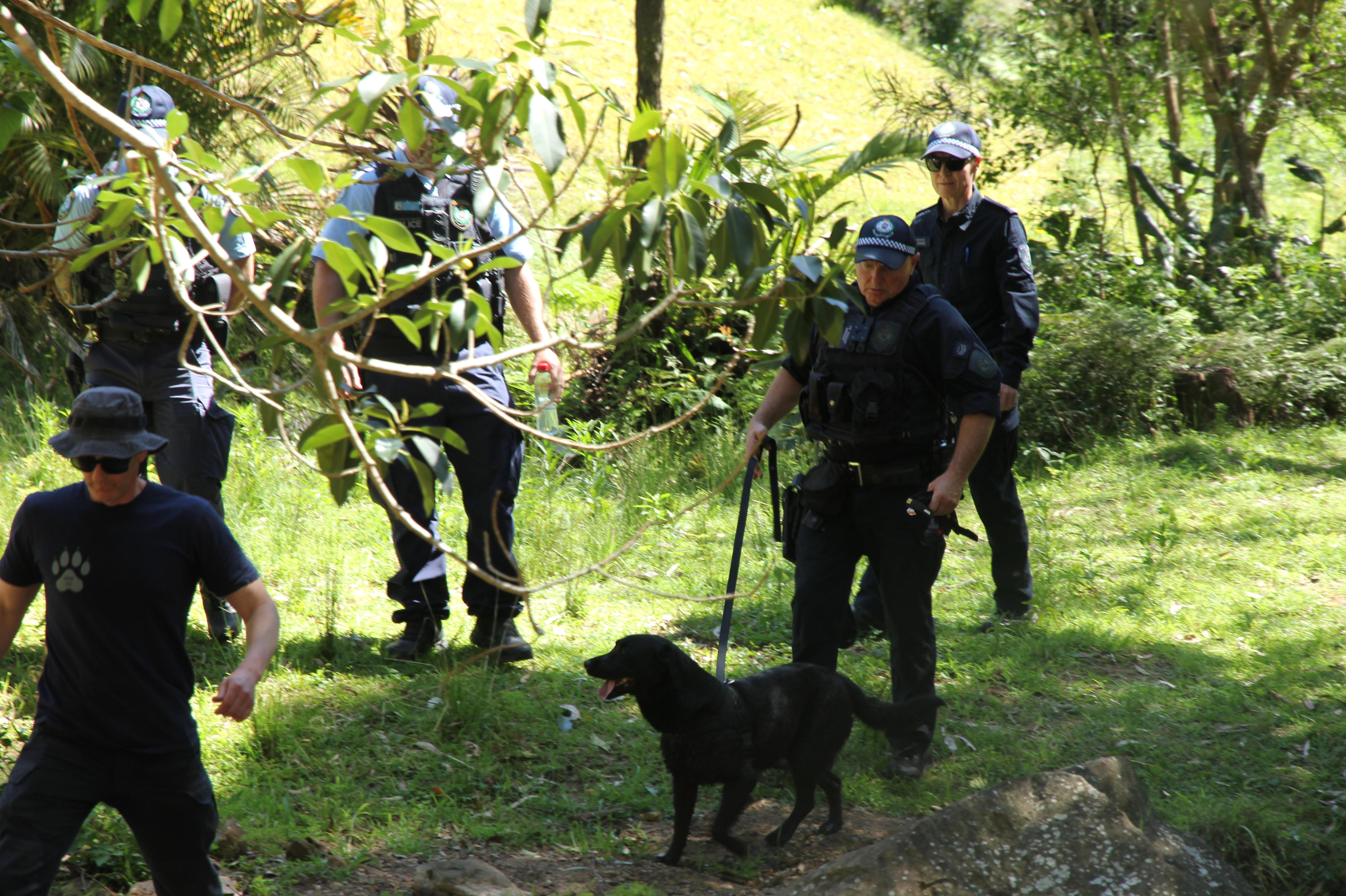 Cheryl Grimmer's family faces setback as police search ends with no ...