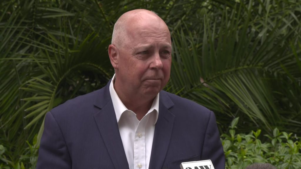 Victorian Treasurer Tim Pallas is quitting politics - ABC News