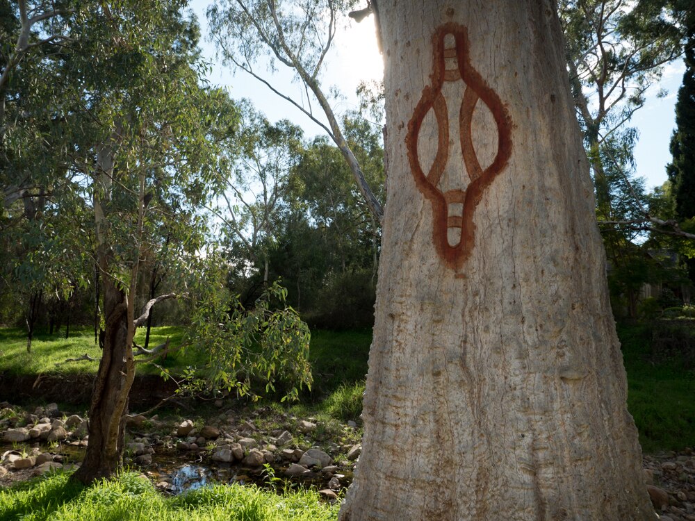 Rock walls, tree forts feature in new playground allowing kids to take ...