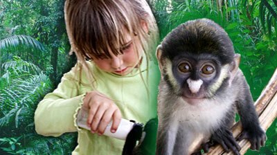 Monkey Girl - Behind The News