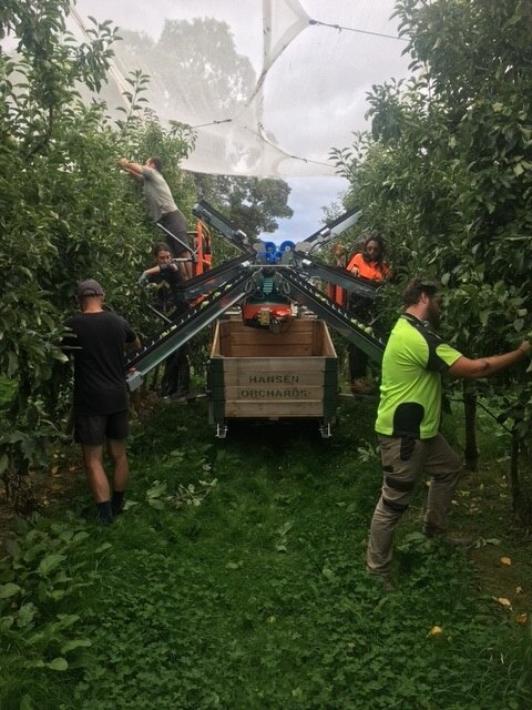 Tasmanian Country Hour - ABC listen