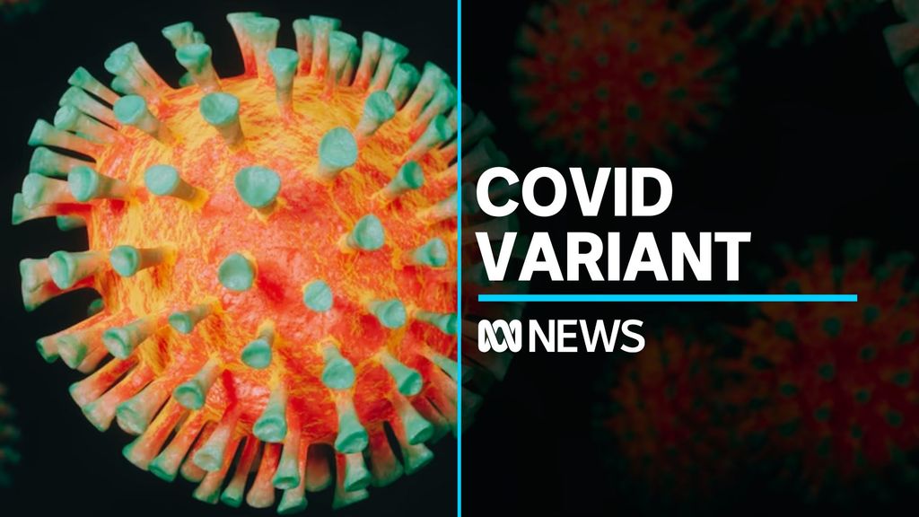 Australia monitoring Eris COVID variant as it spreads in US - ABC News