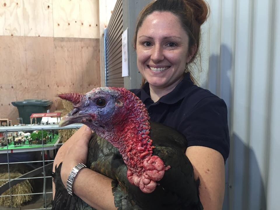 Tasmanian Country Hour - ABC listen