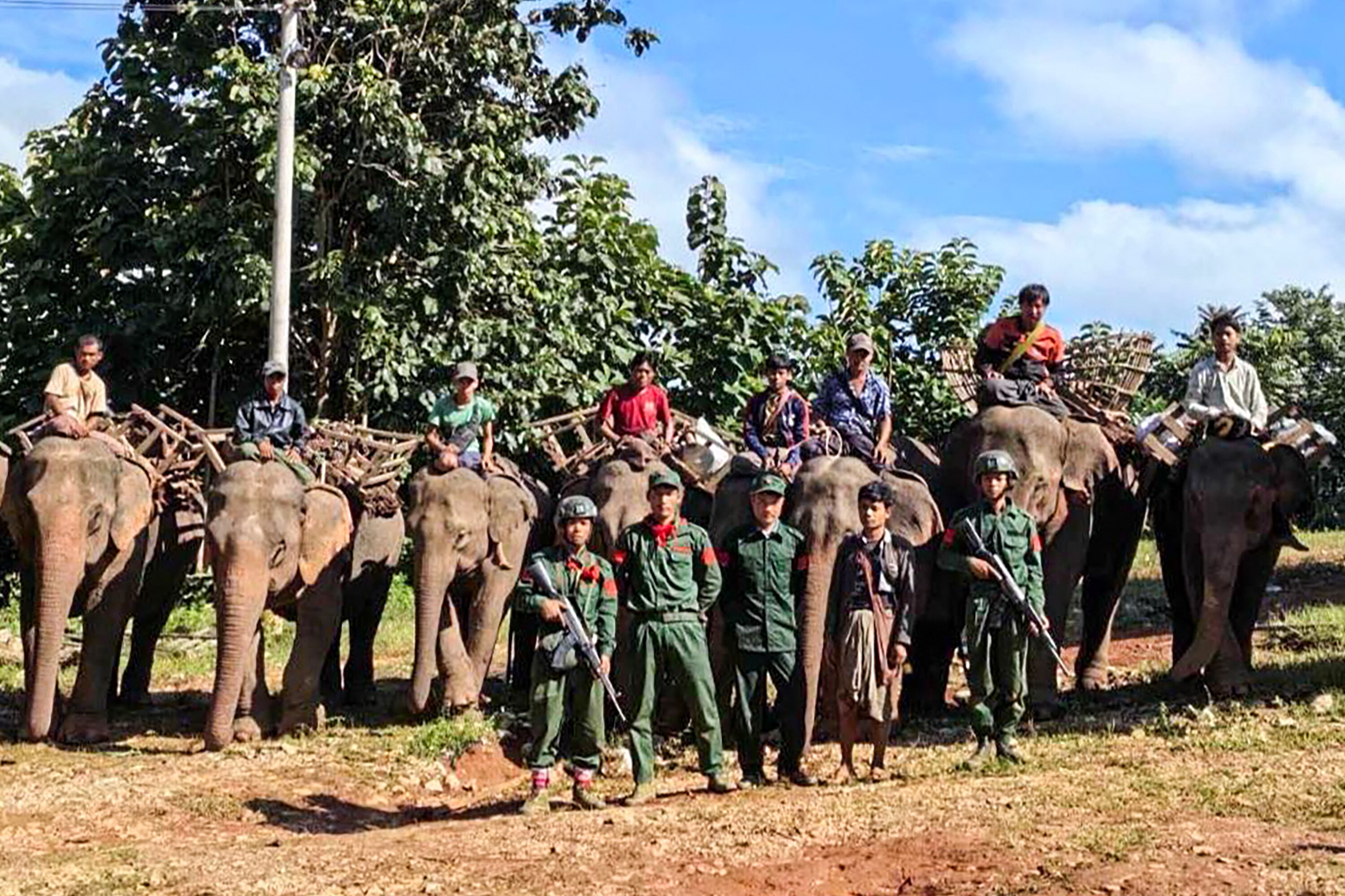 Communist rebels take in 138 of Myanmar's elephants amid fighting near ...