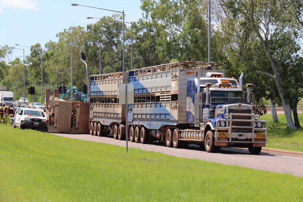 Cattle loose after crash between road train, ute and car at busy Darwin ...