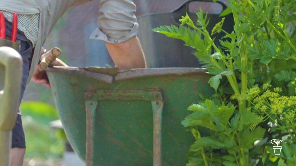 Guide to Greywater - Gardening Australia