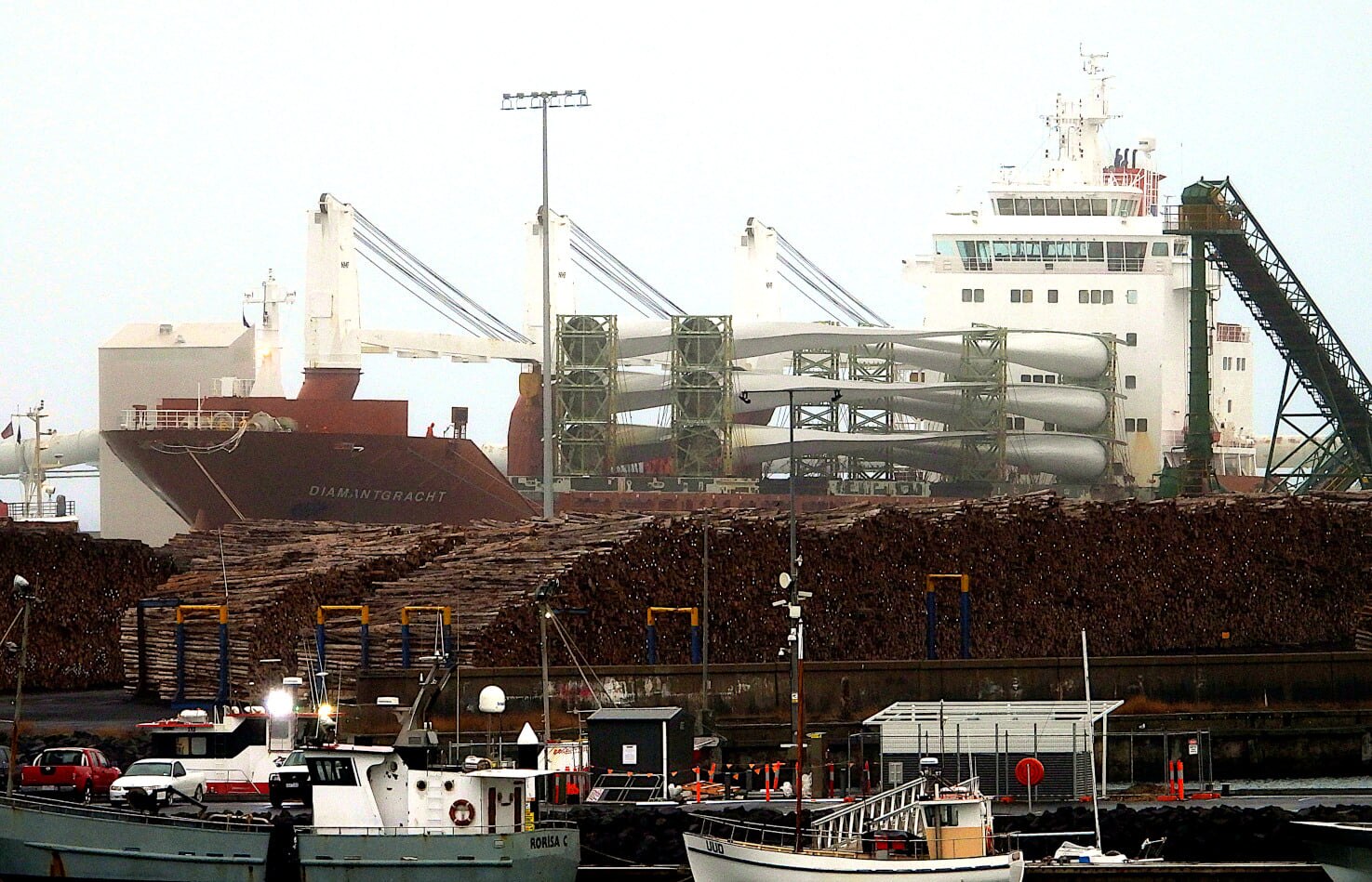 Forestry industry says China log exports remain in limbo with no end in ...