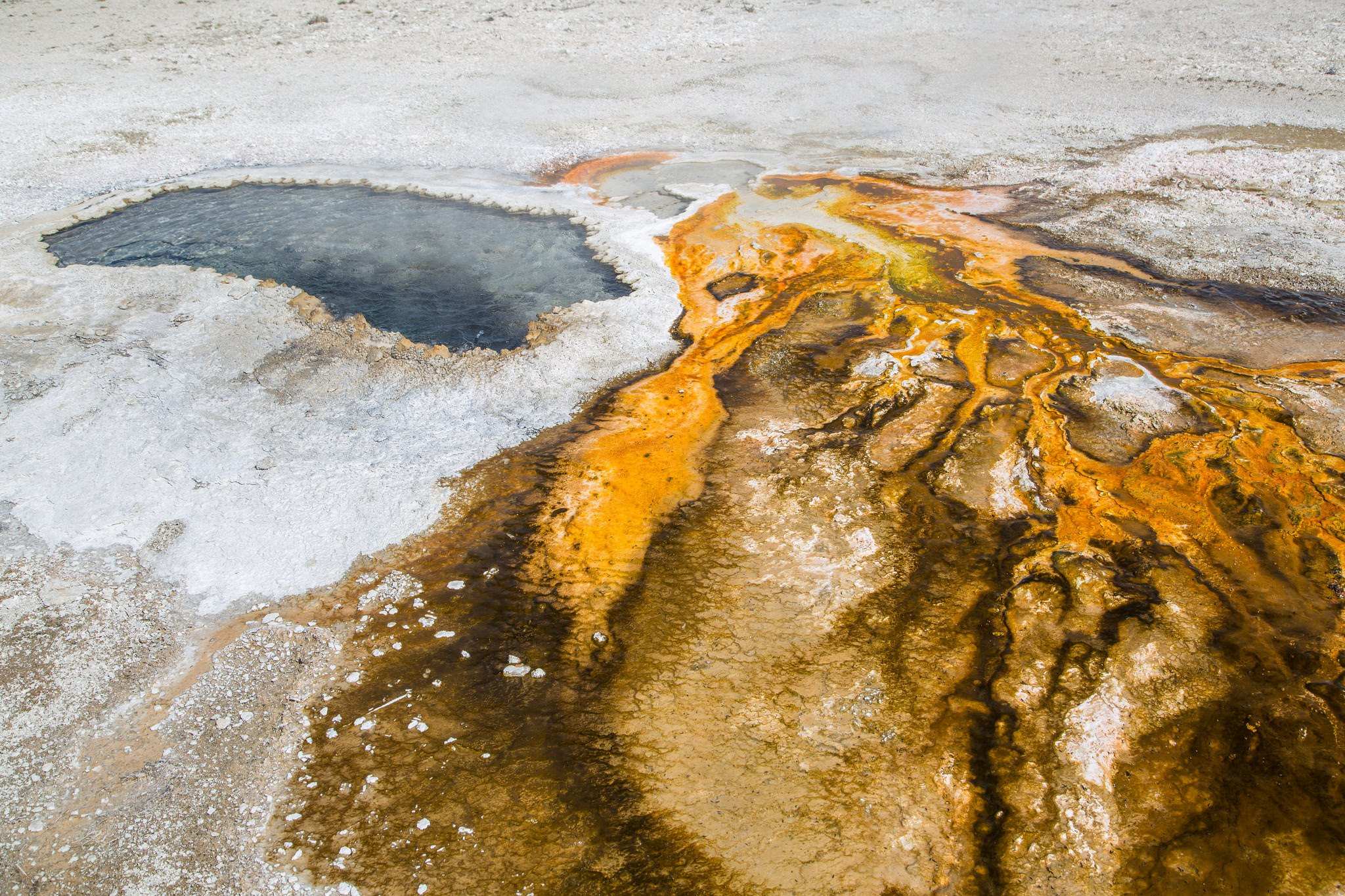 Yellowstone geyser Ear Spring spews up decades-old garbage in rare ...