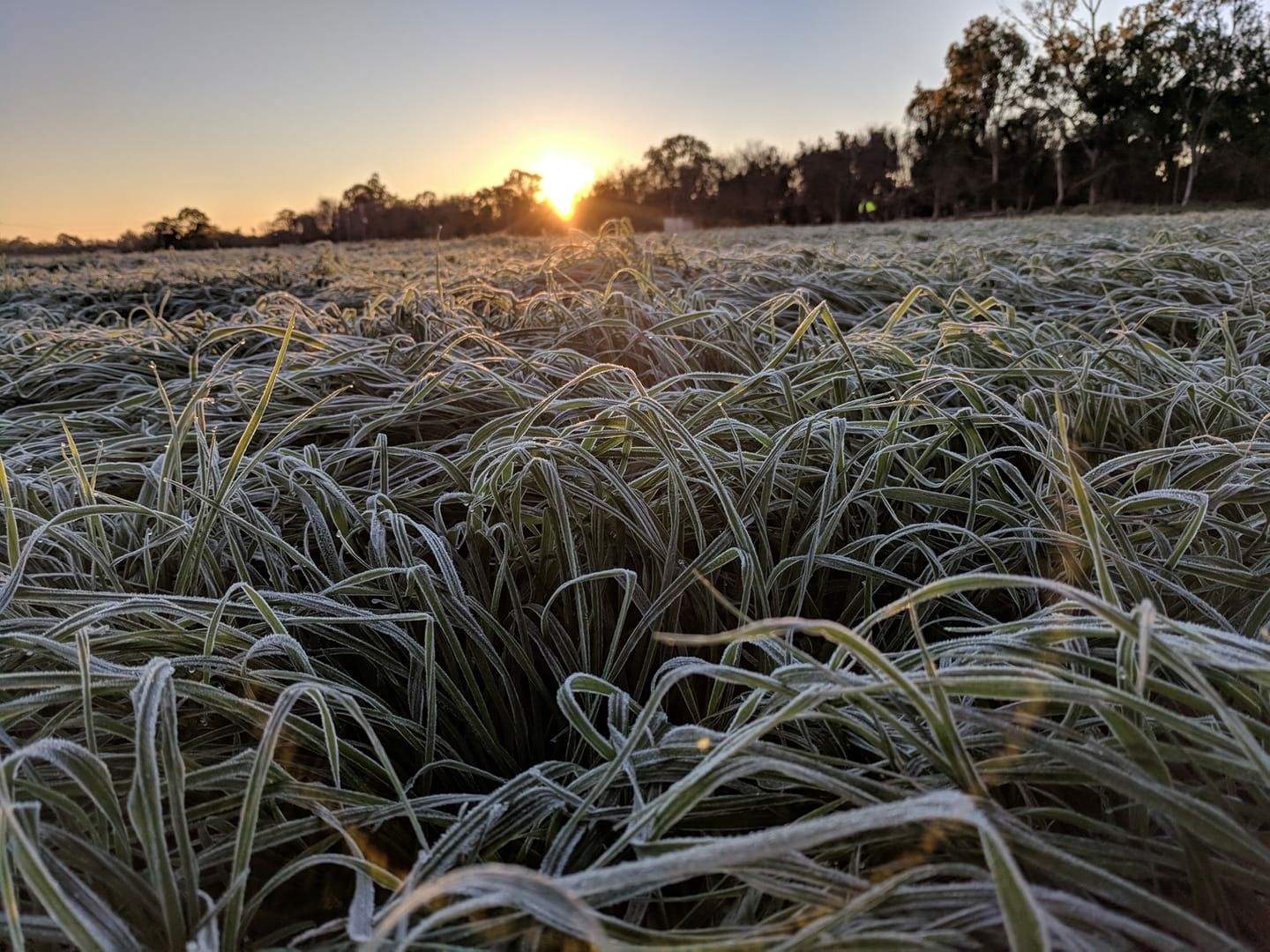 Frosty morning as sub-zero temperatures leave southern Queensland ...